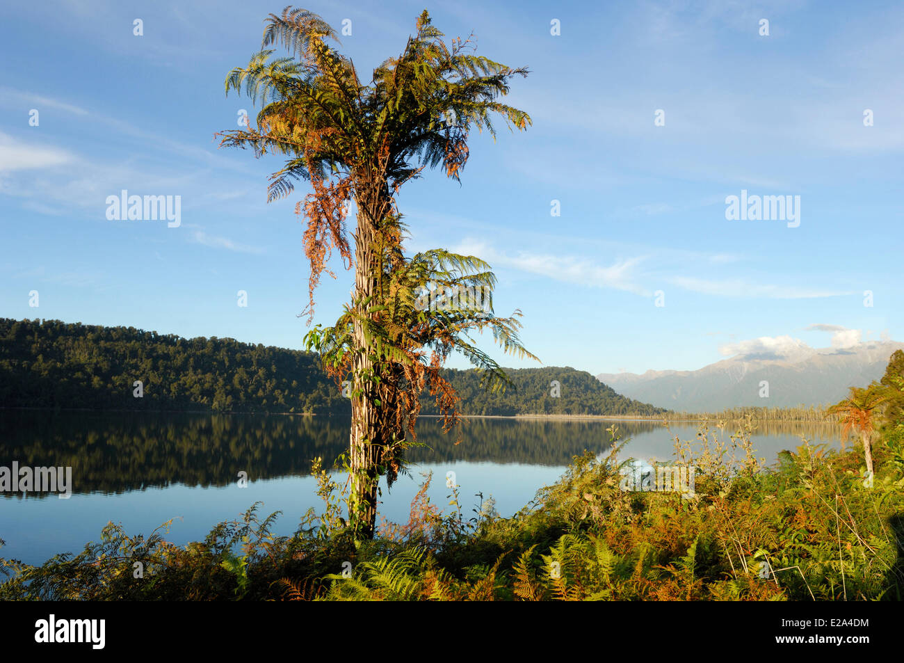 New Zealand, South Island, Region of West Coast, Whataroa, Lake Wahapo ...