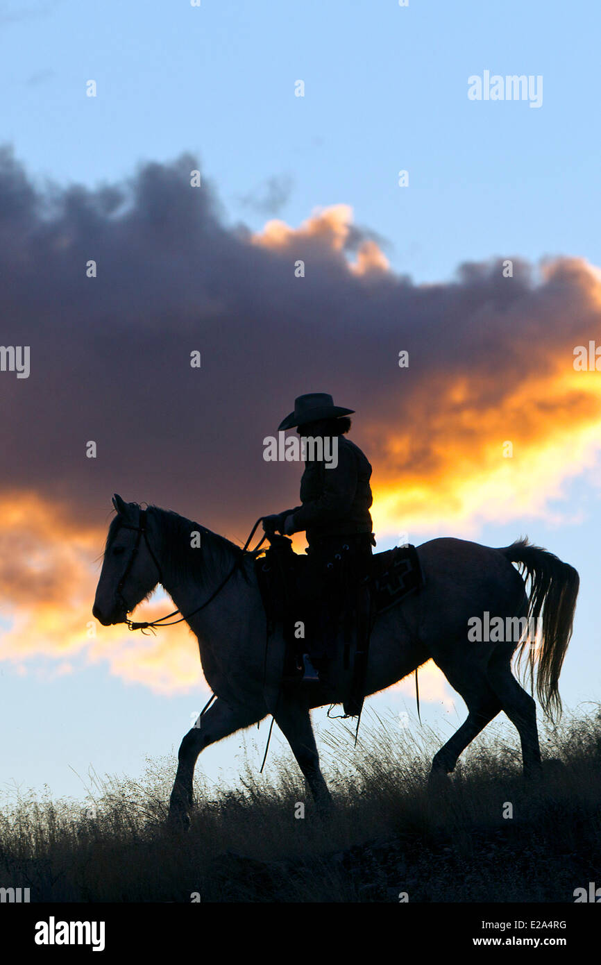 Wyoming cow boy hi-res stock photography and images - Alamy