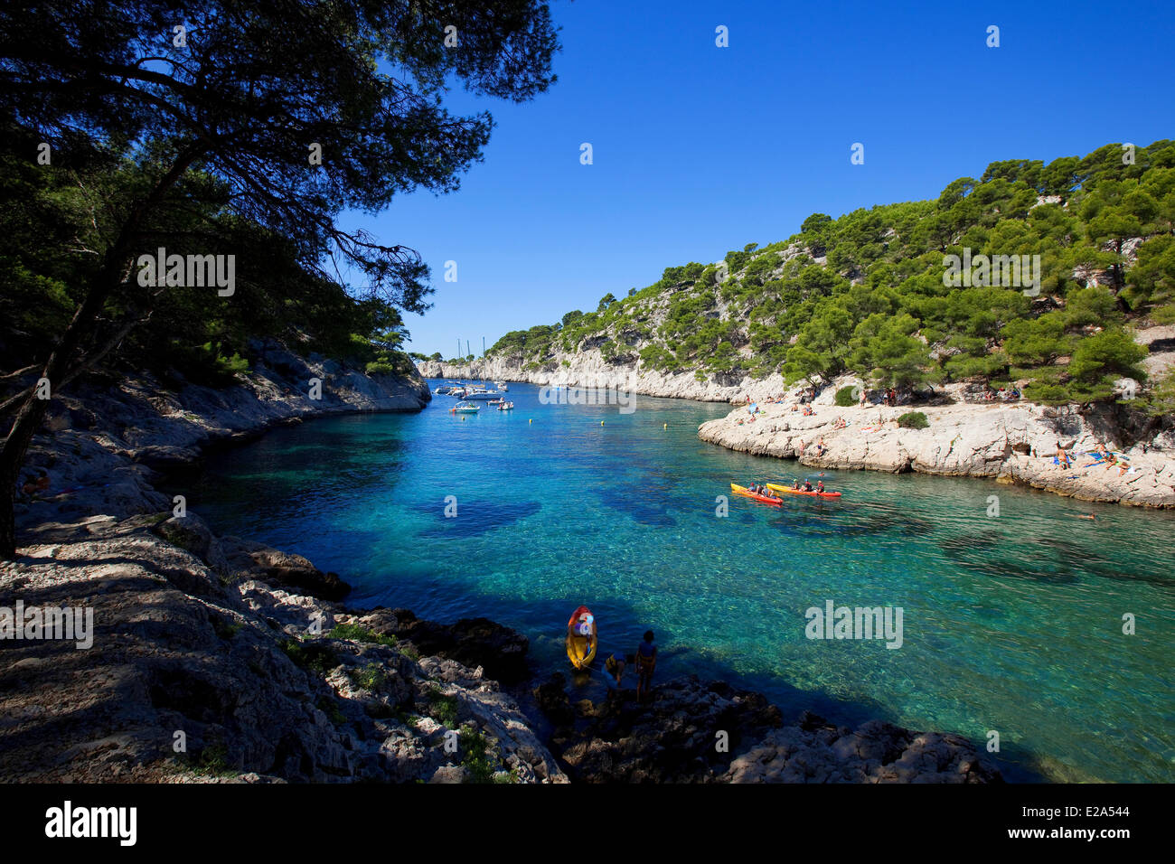France, Bouches du Rhone, Cassis, Calanque de Port Pin Stock Photo - Alamy