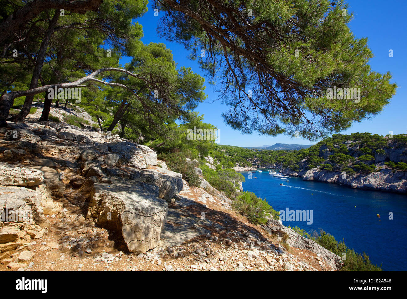 France, Bouches du Rhone, Cassis, Calanque de Port Pin Stock Photo - Alamy