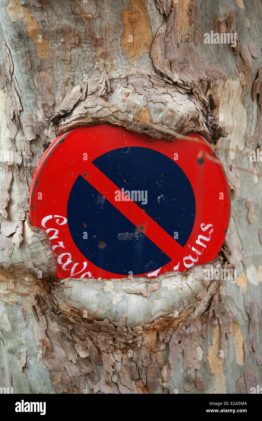 France, Bouches du Rhone, Grans, sign on a plane tree Stock Photo - Alamy