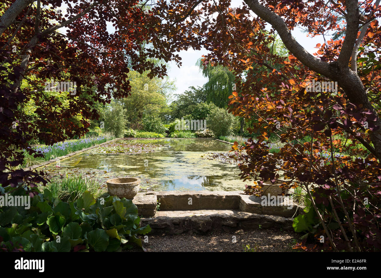 Garden frame pool hi-res stock photography and images - Alamy