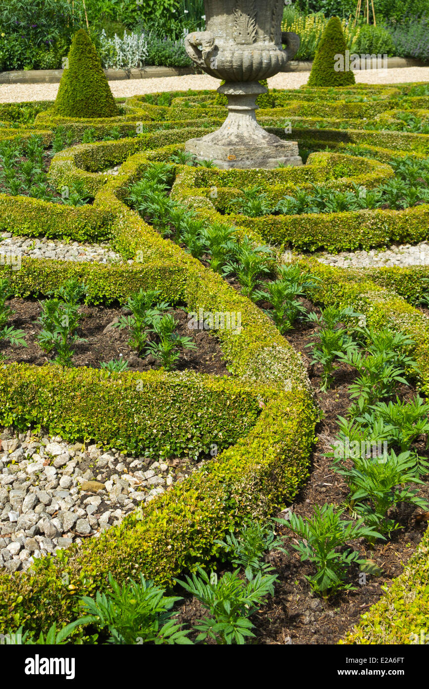 Beautiful geometrical design Formal garden Stock Photo - Alamy