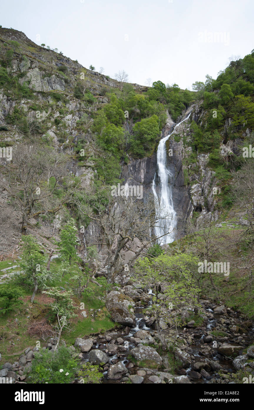 Rhaeadr fawr Aber Falls Abergwyngregyn North Wales Stock Photo - Alamy