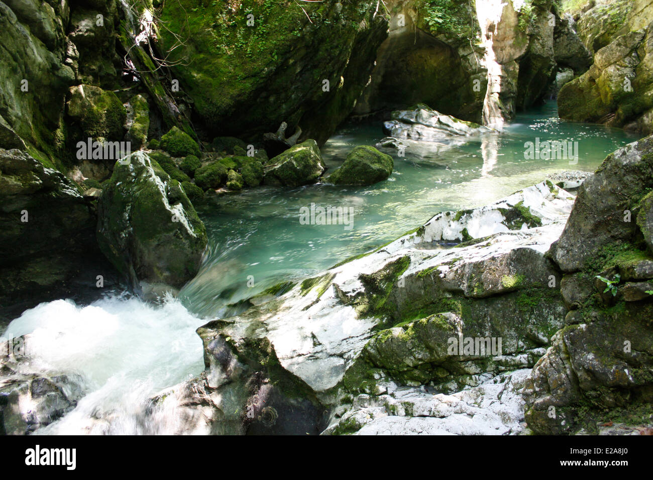 Mountain river and bridge in the regional park of Chartreuse, Isere ...