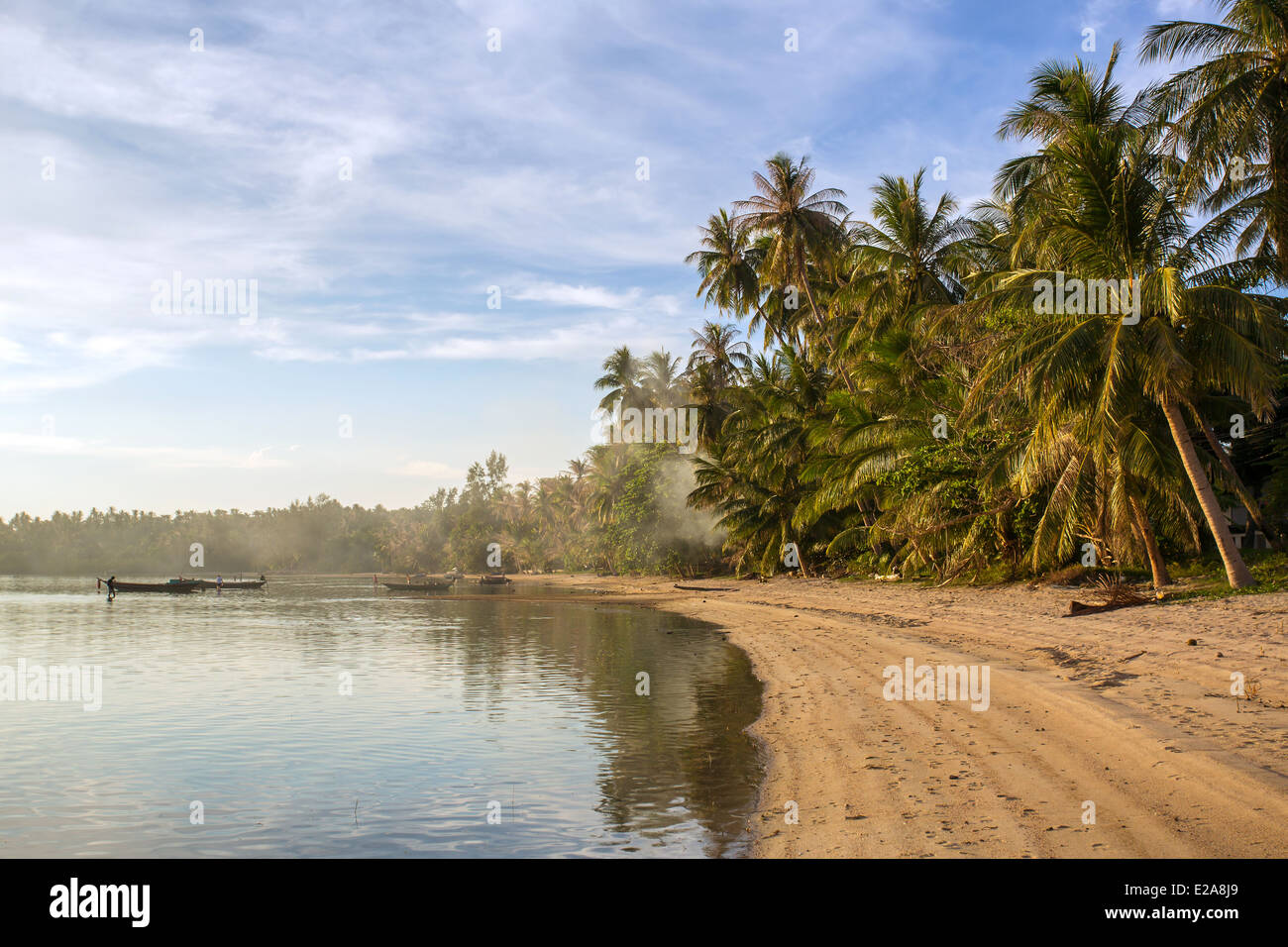Tropical beach with palm trees hi-res stock photography and images - Alamy