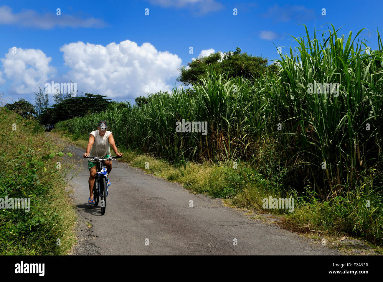 Saint philippe ile de la reunion hi-res stock photography and images ...