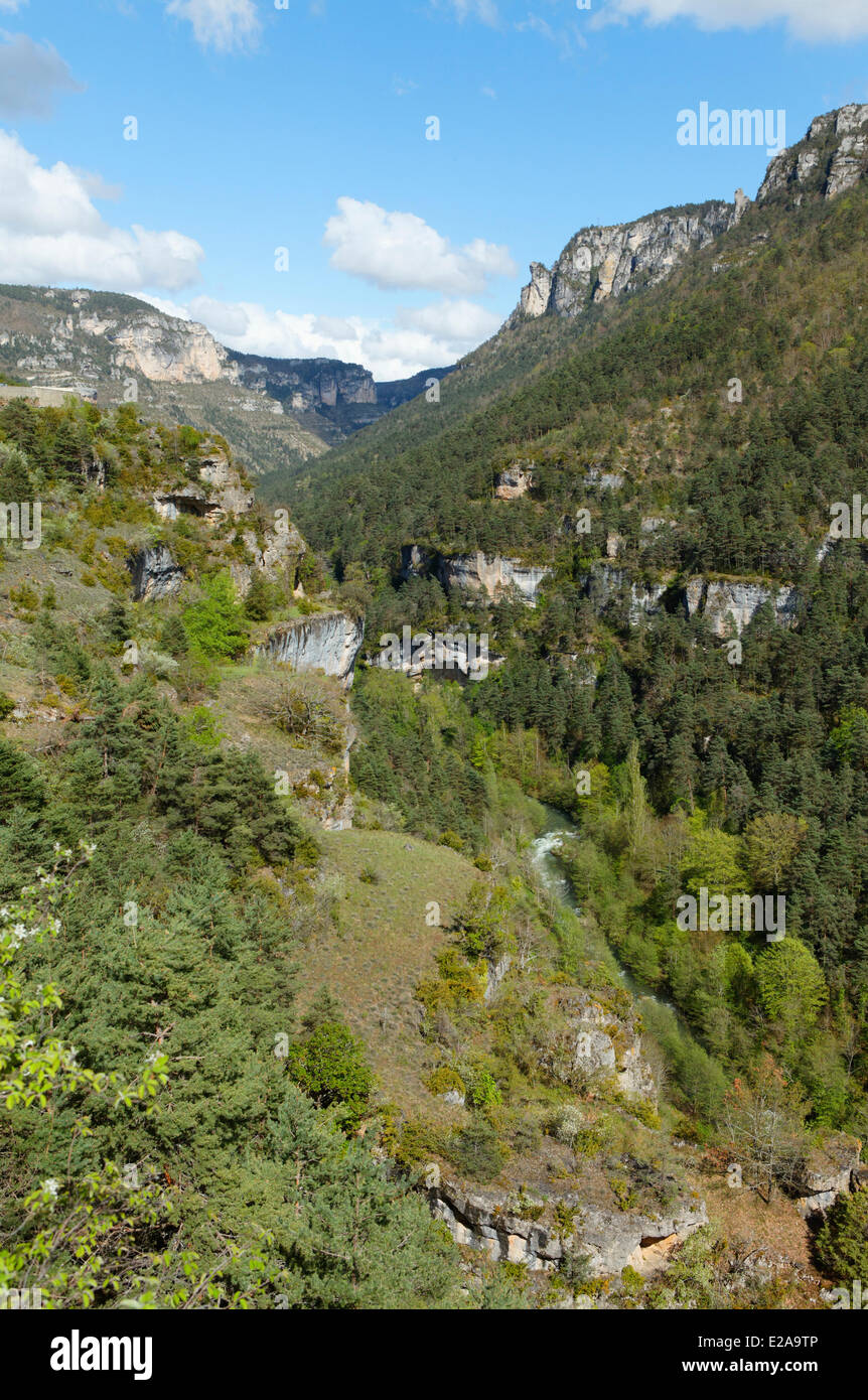 France, Lozere, the Causses and the Cevennes, Mediterranean agro ...