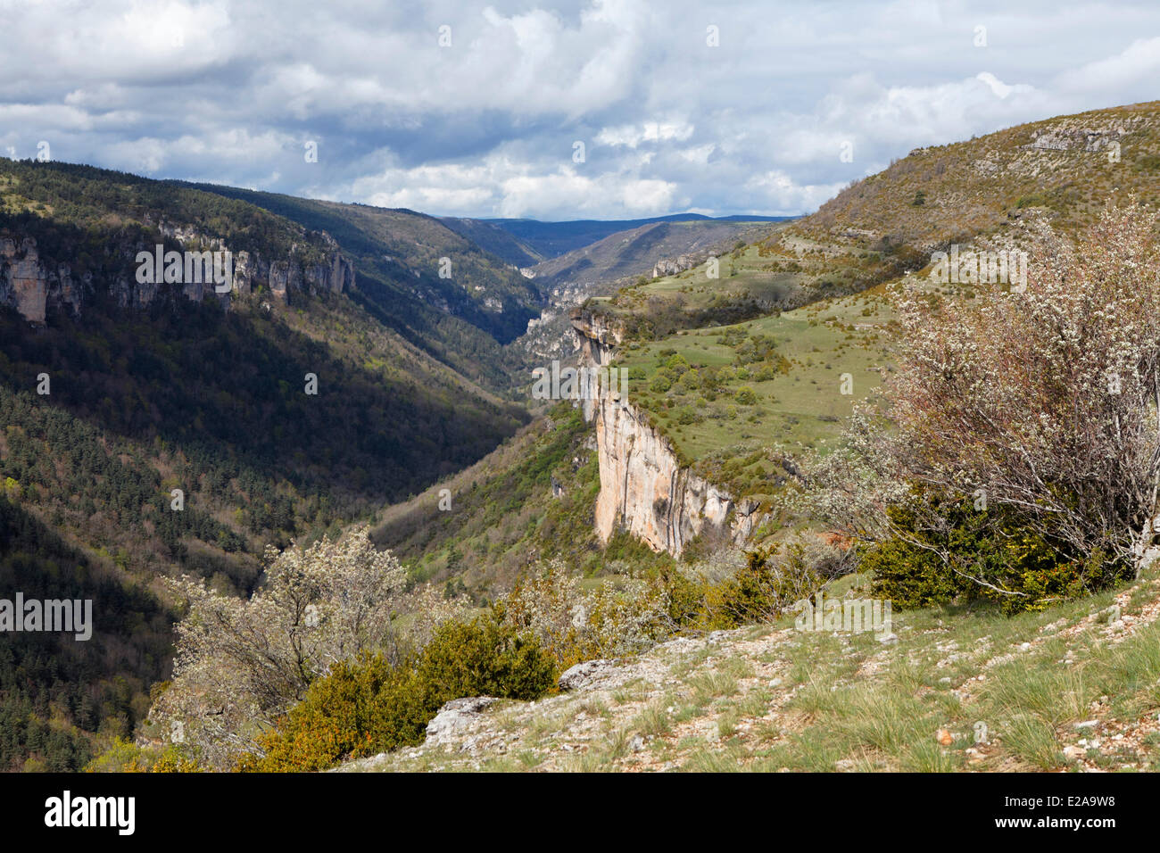 France, Lozere, the Causses and the Cevennes, Mediterranean agro ...