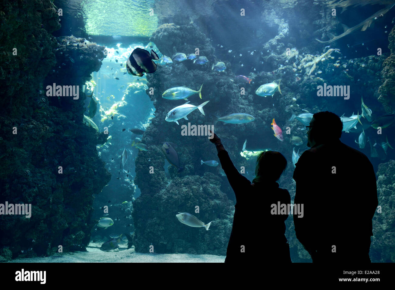 Oceanographic museum monaco aquarium High Resolution Stock Photography ...