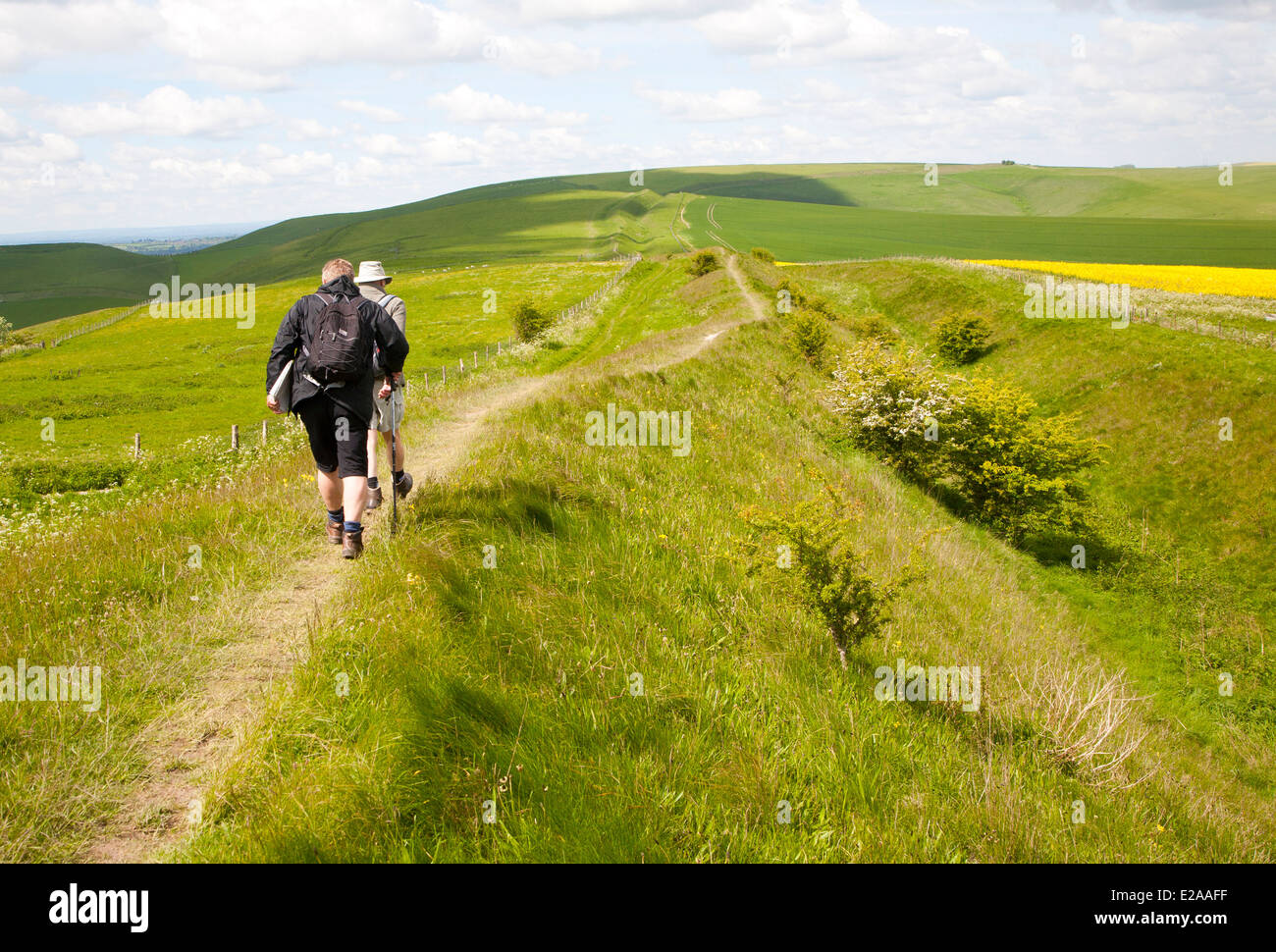 Ditch and embankment of the Wansdyke a Saxon defensive structure on All ...