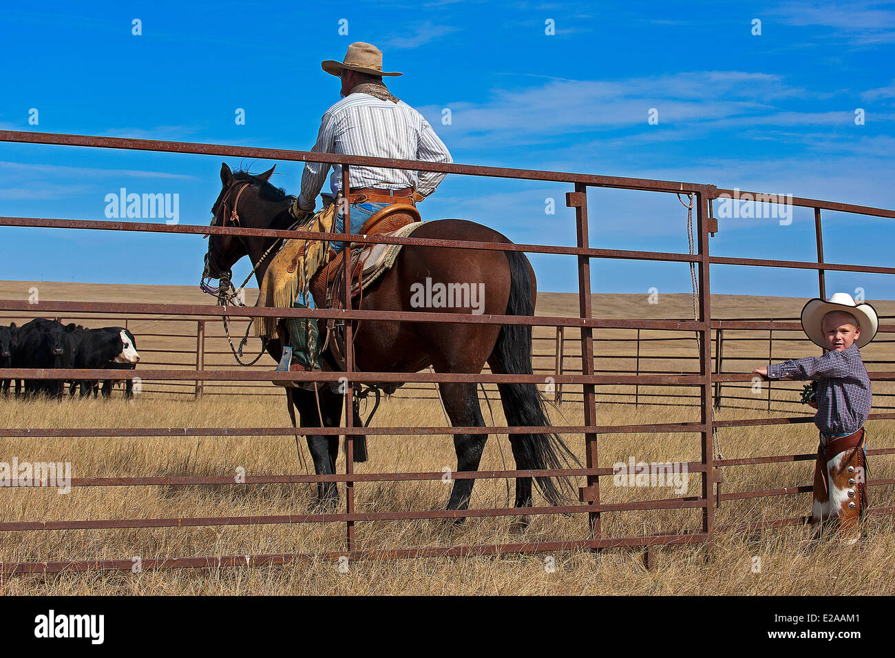 United States, South Dakota, Belle Fourche, ranch of Todd Larsen ...