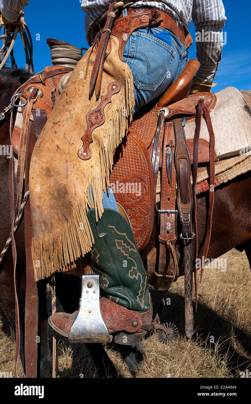 United States, South Dakota, Belle Fourche, ranch of Todd Larsen ...