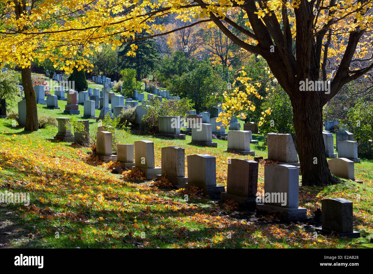 Canada, Quebec Province, Montreal, the Mount Royal, Mount Royal ...