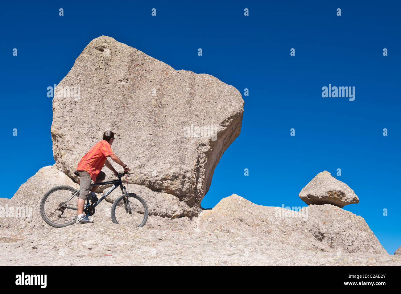 Hongos hongos hongos hongos hongos hi-res stock photography and images ...