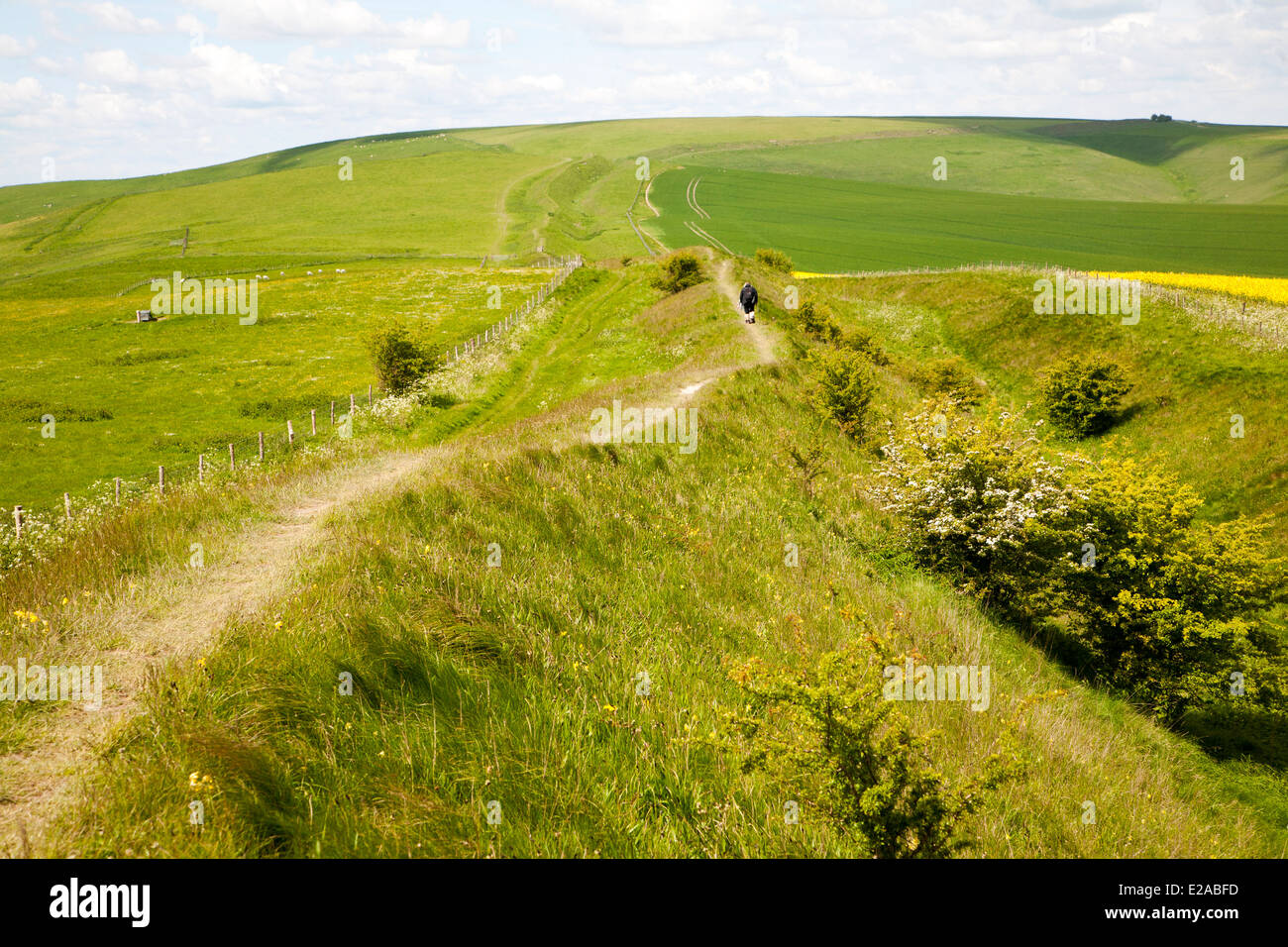 Medieval earthwork hi-res stock photography and images - Alamy