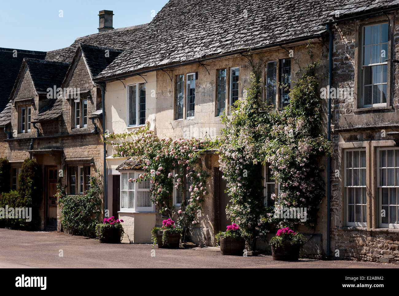 Old english cottage with climbing roses hi-res stock photography and ...