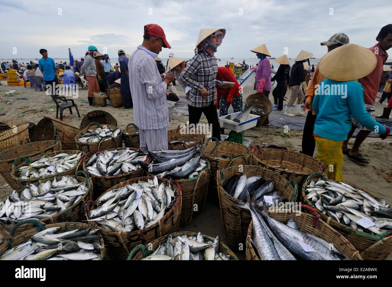 Vietnam, Ba Ria Vung Tau Province, Long Hai, fish market on the beach ...
