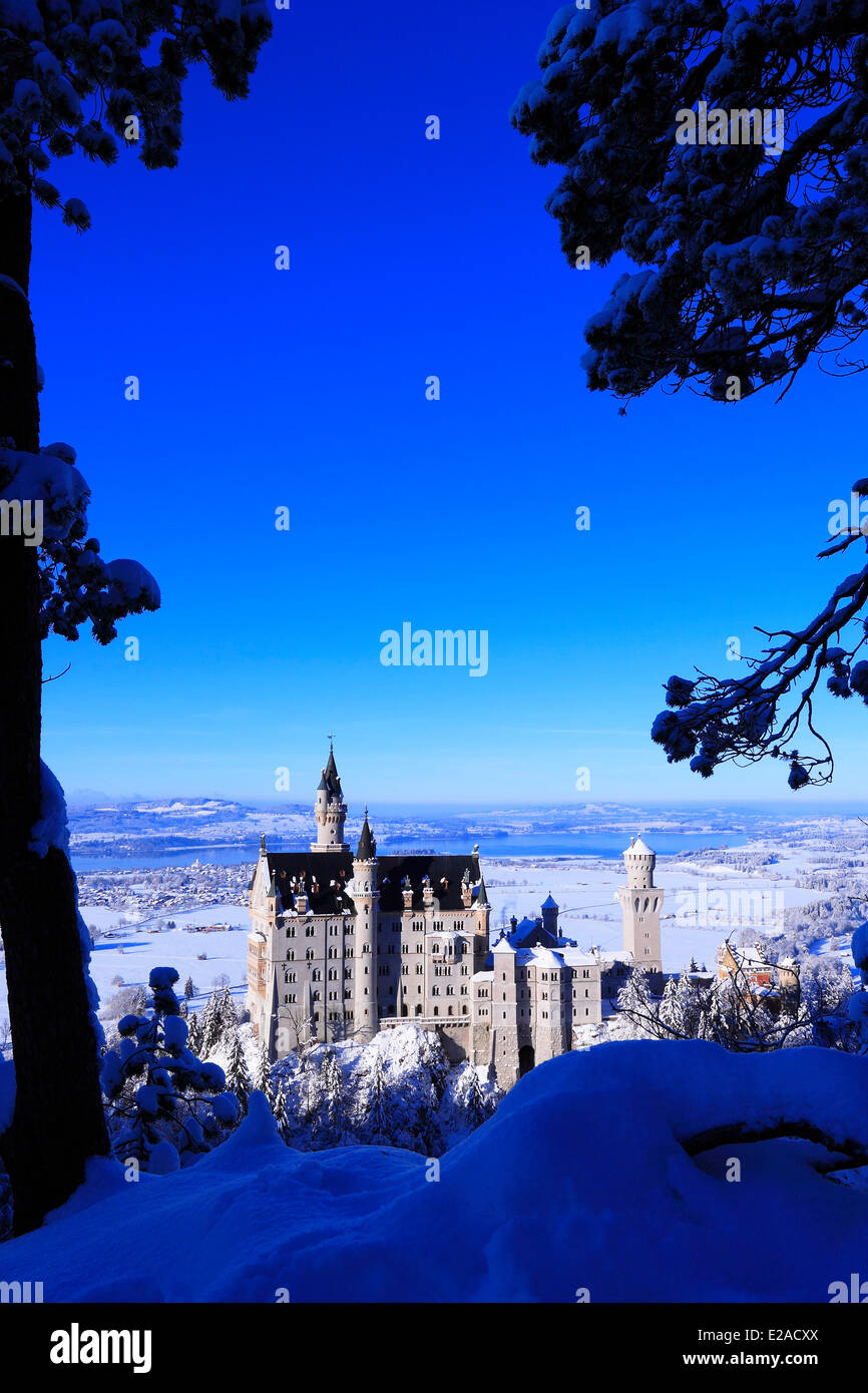 Neuschwanstein castle with lake Forggensee in winter - 27 November 2013 ...