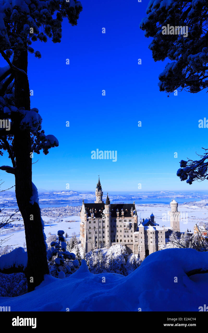 Neuschwanstein castle with lake Forggensee in winter - 27 November 2013 ...