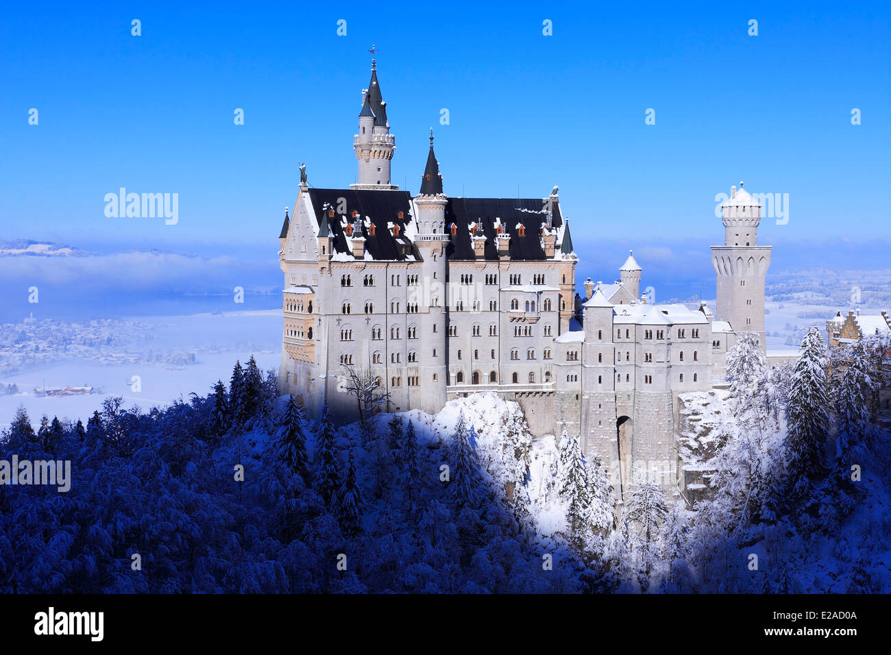 Neuschwanstein castle with lake Forggensee in winter - 27 November 2013 ...