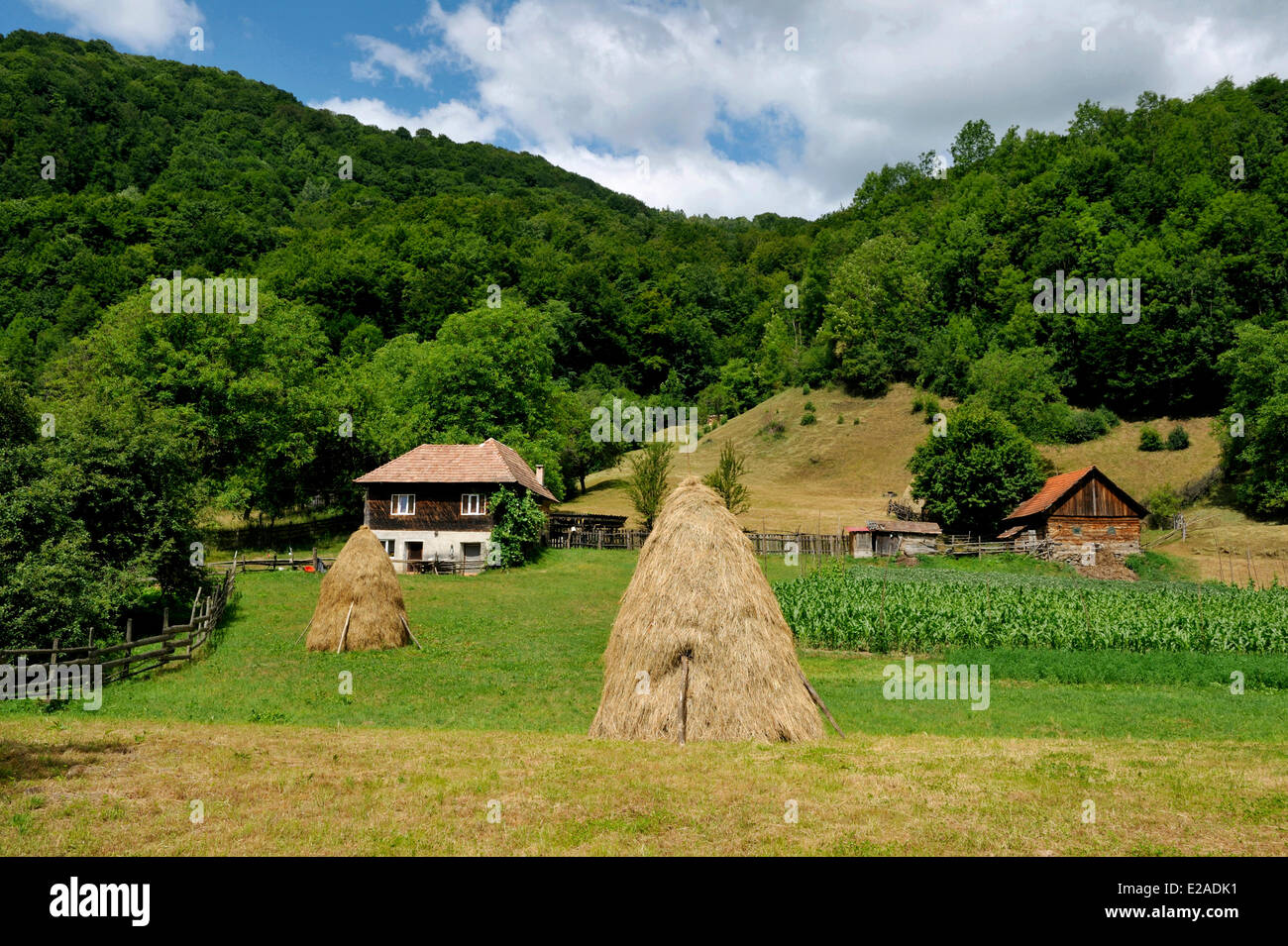 Romania, Carpathian Mountains, Transylvania Region, Munti Apuseni, the ...