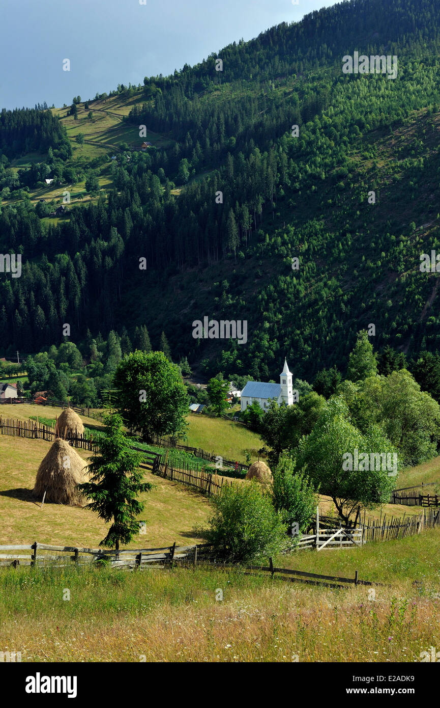 Romania, Carpathian Mountains, Transylvania Region, Munti Apuseni, the ...