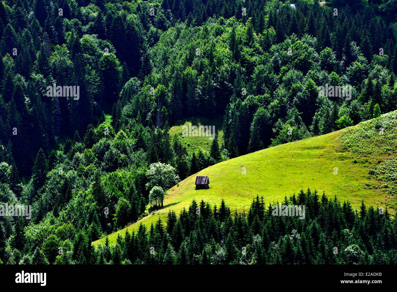 Romania, Carpathian Mountains, Transylvania Region, Munti Apuseni, the ...