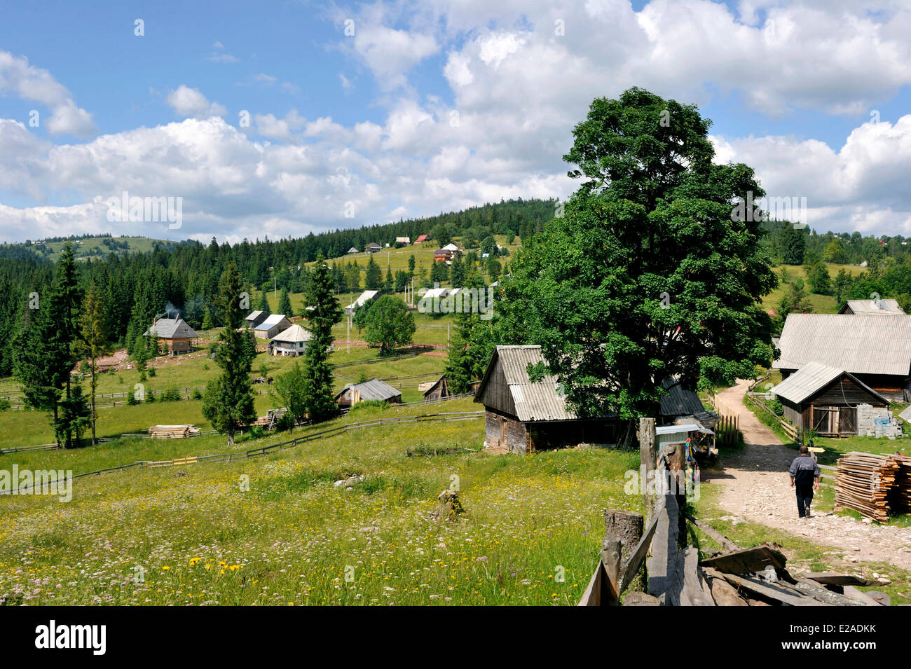 Romania, Carpathian Mountains, Transylvania Region, Munti Apuseni, the ...