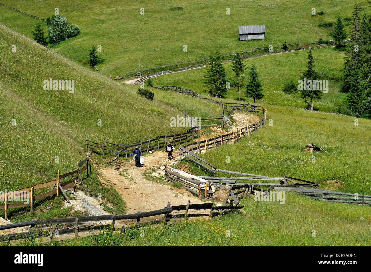 Romania, Carpathian Mountains, Transylvania Region, Munti Apuseni, the ...