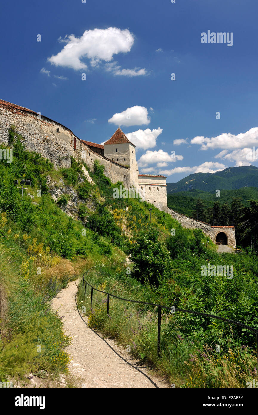 Carpathian mountains transylvania hi-res stock photography and images ...