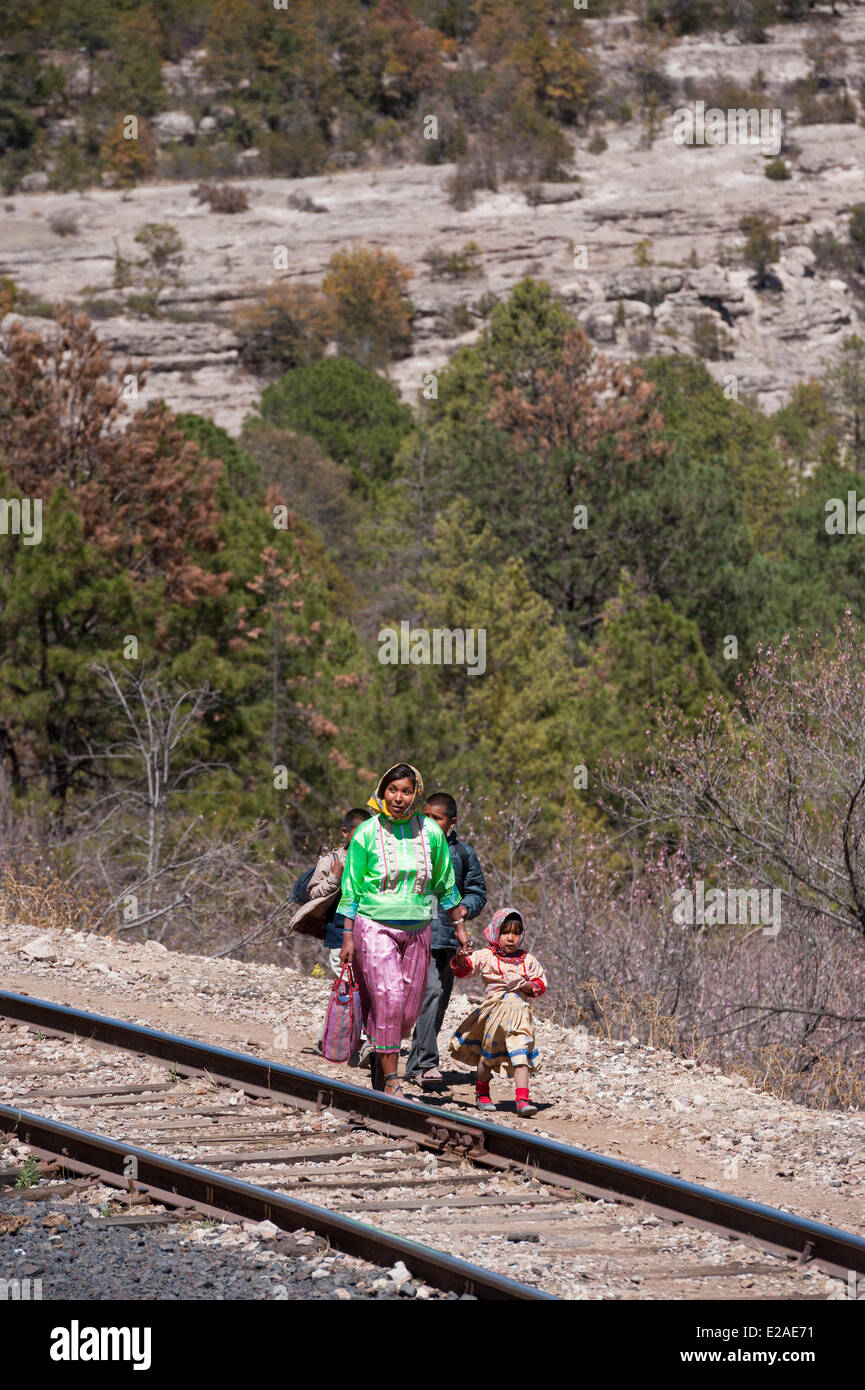 Mexico, Chihuahua State, Barranca del Cobre (Copper Canyon), the ...