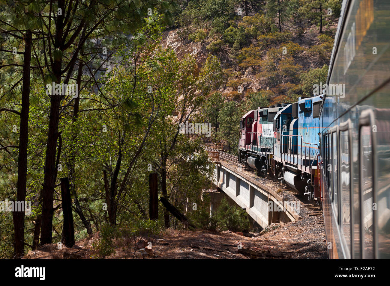 Mexico, Chihuahua State, Barranca del Cobre (Copper Canyon), the ...