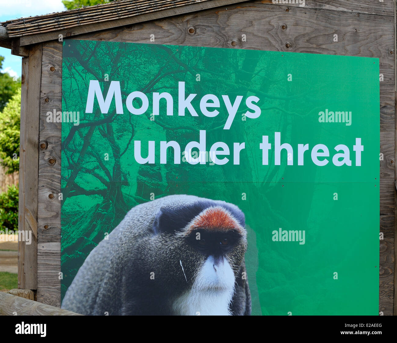 A visitor information sign telling us that Monkeys are under threat ...