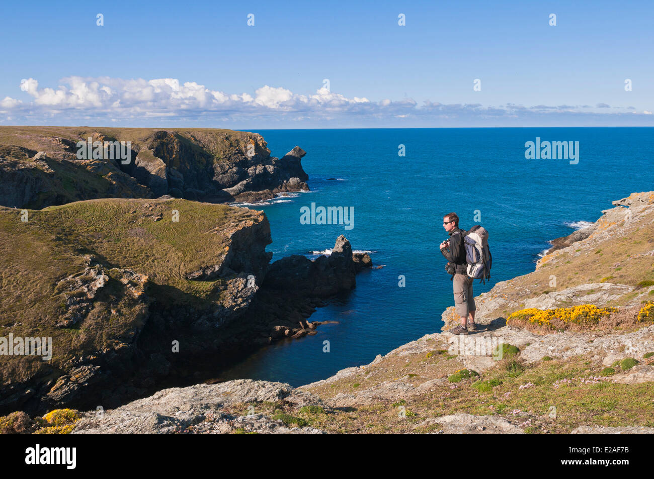 France, Morbihan, Belle Ile en Mer, the wild coast, along the GR340 ...