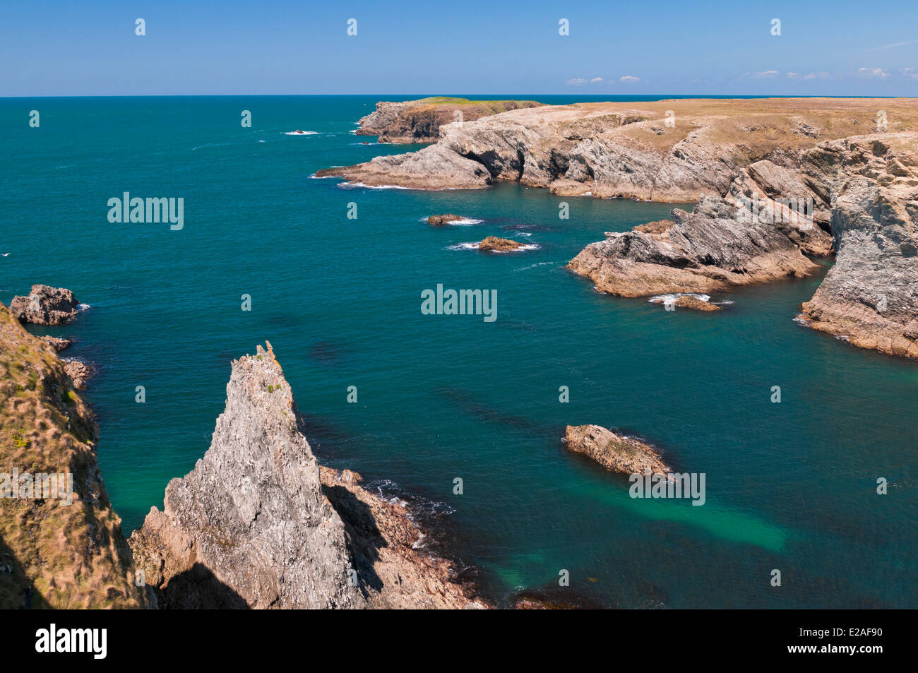 France, Morbihan, Belle Ile en Mer, the wild coast, along the GR340 ...
