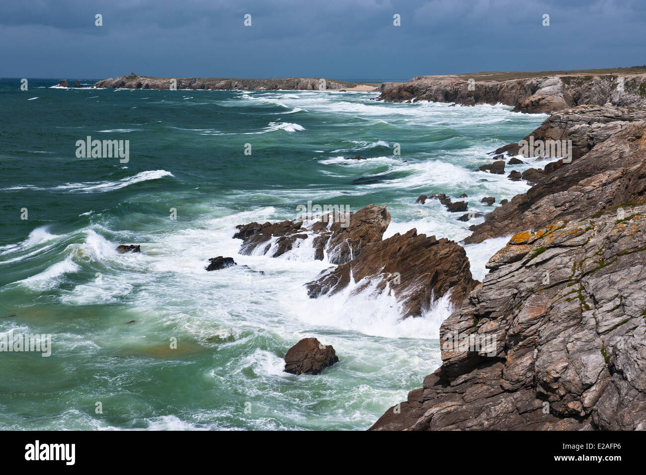 France, Morbihan, Cote Sauvage (the Wild Coast), Presqu'ile de Quiberon ...