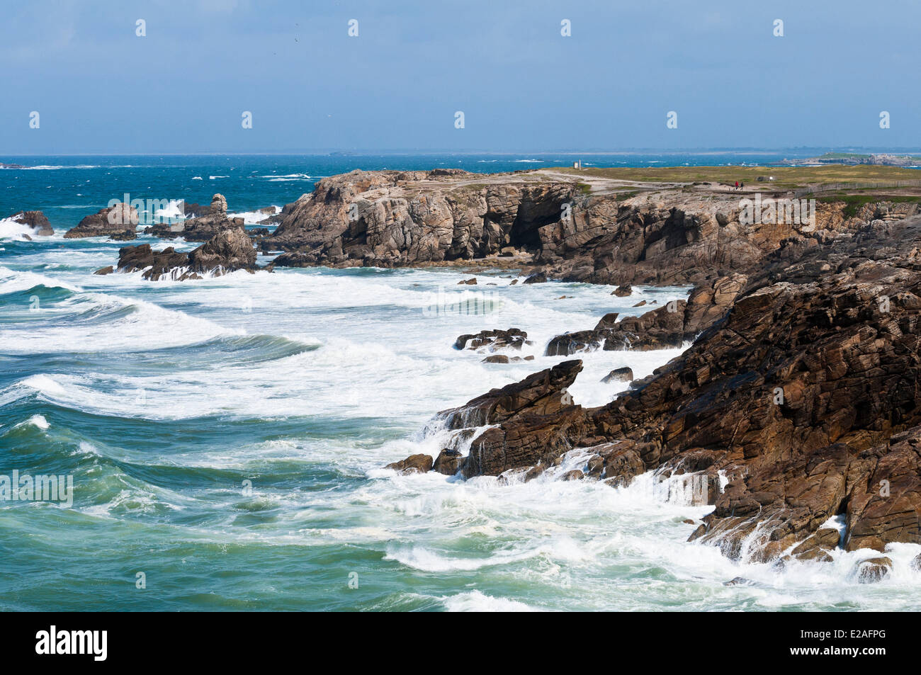 France, Morbihan, Cote Sauvage (the Wild Coast), Presqu'ile de Quiberon ...