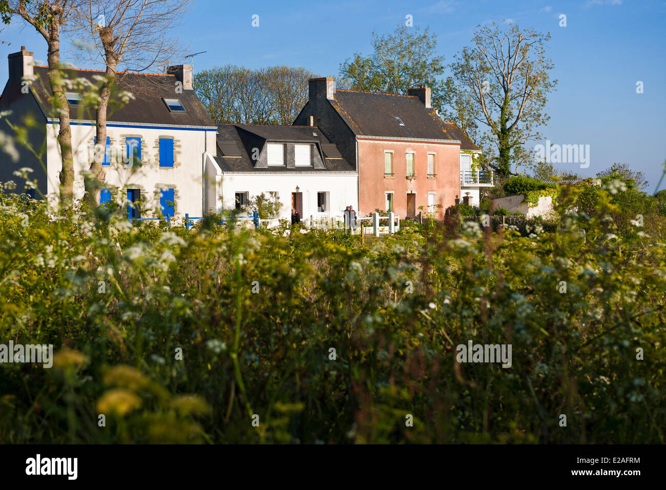 France, Morbihan, Ile de Groix, Le Mene hamlet Stock Photo - Alamy