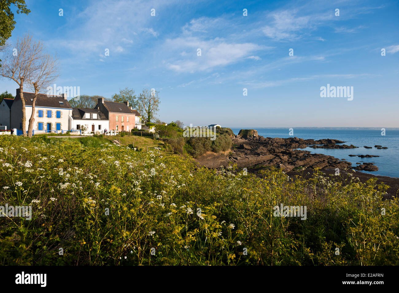 France, Morbihan, Ile de Groix, Le Mene hamlet Stock Photo - Alamy