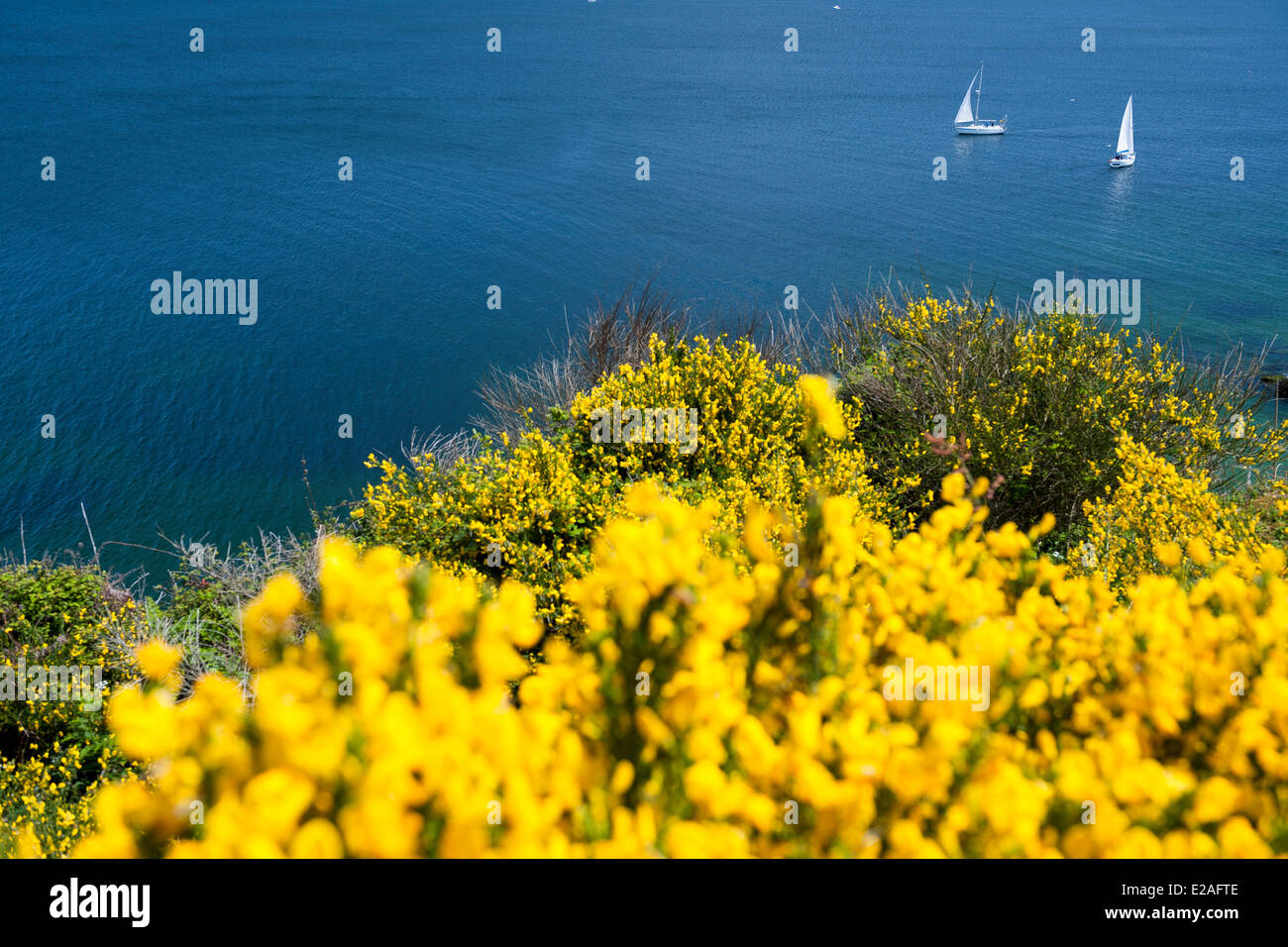 Ile de groix hi-res stock photography and images - Alamy