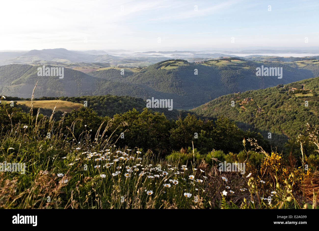 France, Aveyron, Tarn valley above the Truel, Levezou Stock Photo - Alamy