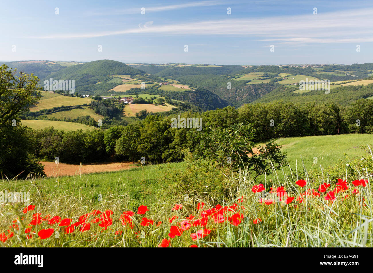 France, Aveyron, Tarn valley towards Le Viala du Tarn Shelf Levezou ...