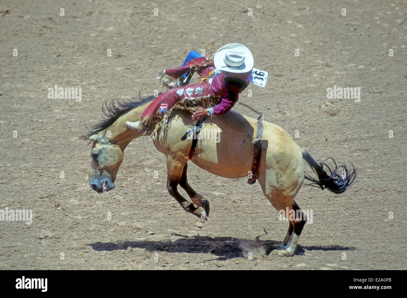 United States, Arizona, Navajo reservation, Window Rock, the capital ...