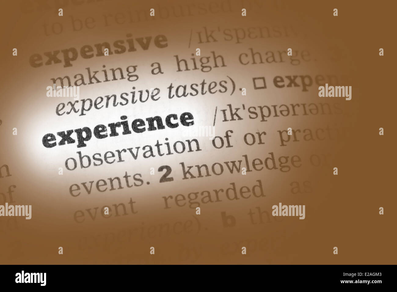Experience Dictionary Definition single word with soft focus Stock ...
