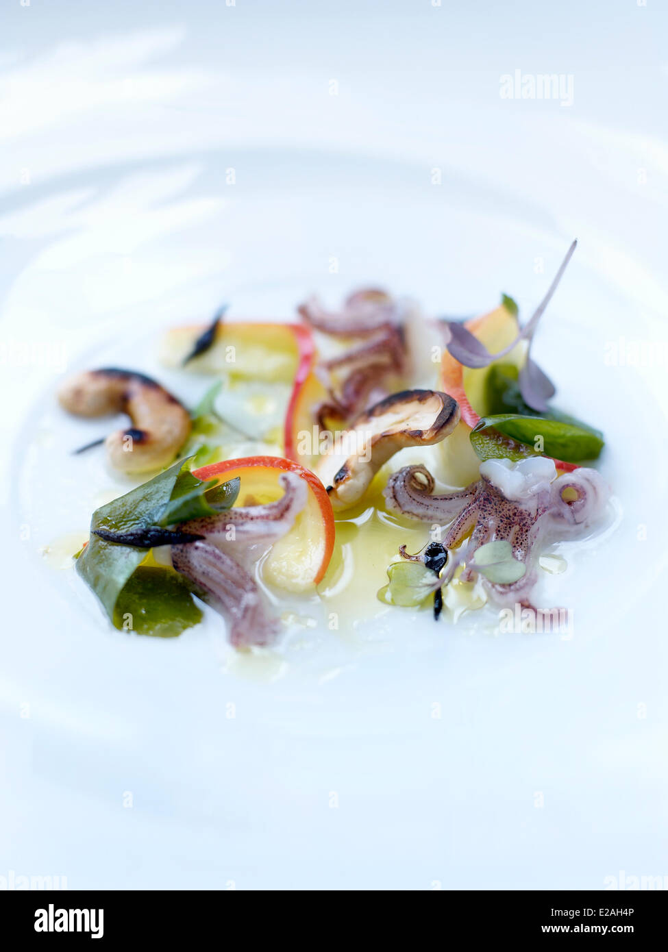 Brasil, Sao Paulo, feature : Chef Alex Atala, D.O.M. restaurant recipe ...