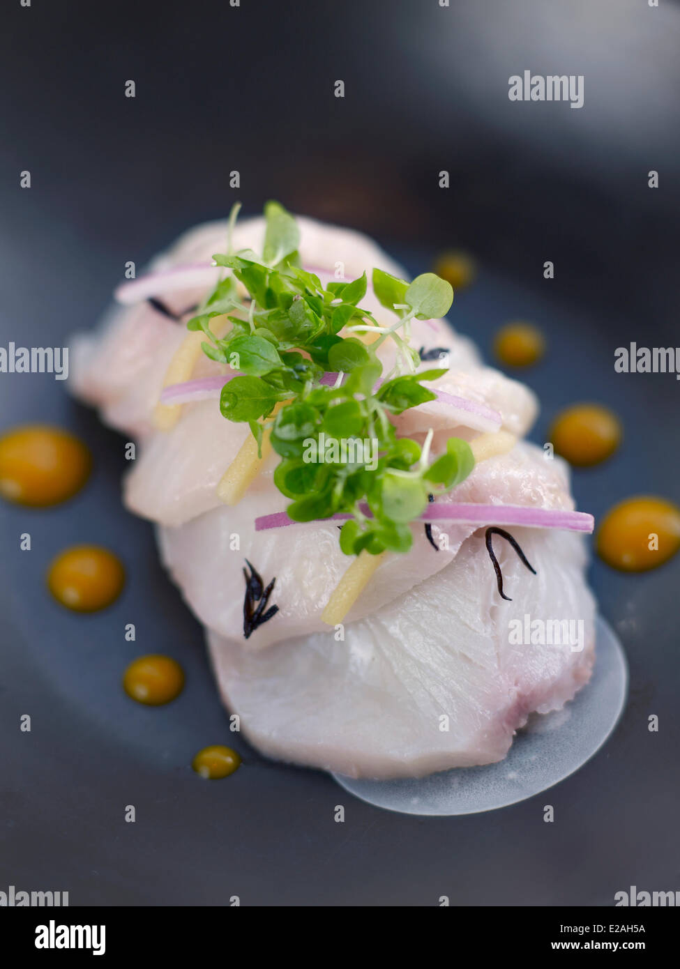 United States, Florida, Miami, feature : Miam!, asian cuisine in Sentai ...