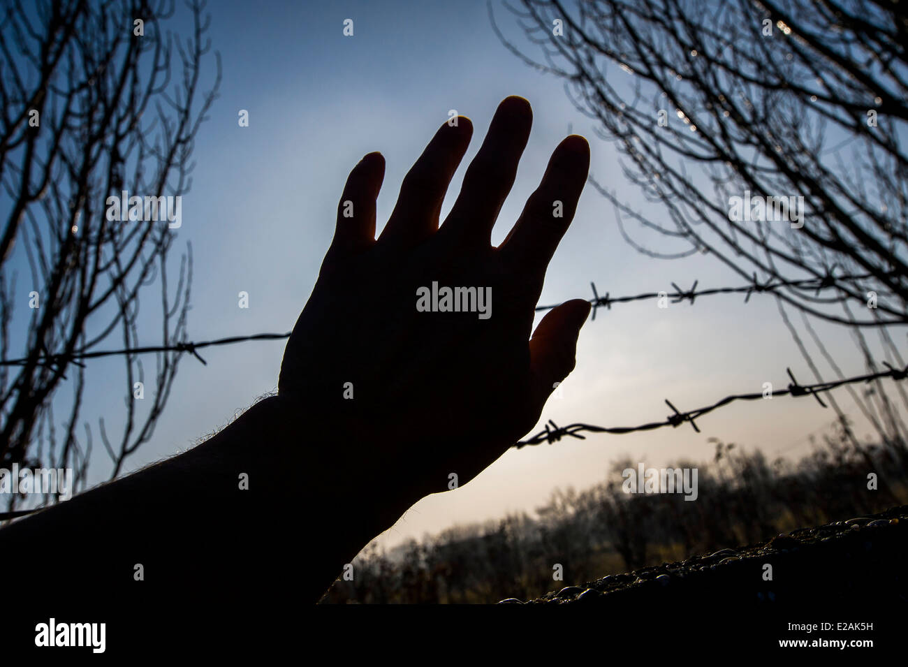 Hand behind barbed wire hi-res stock photography and images - Alamy