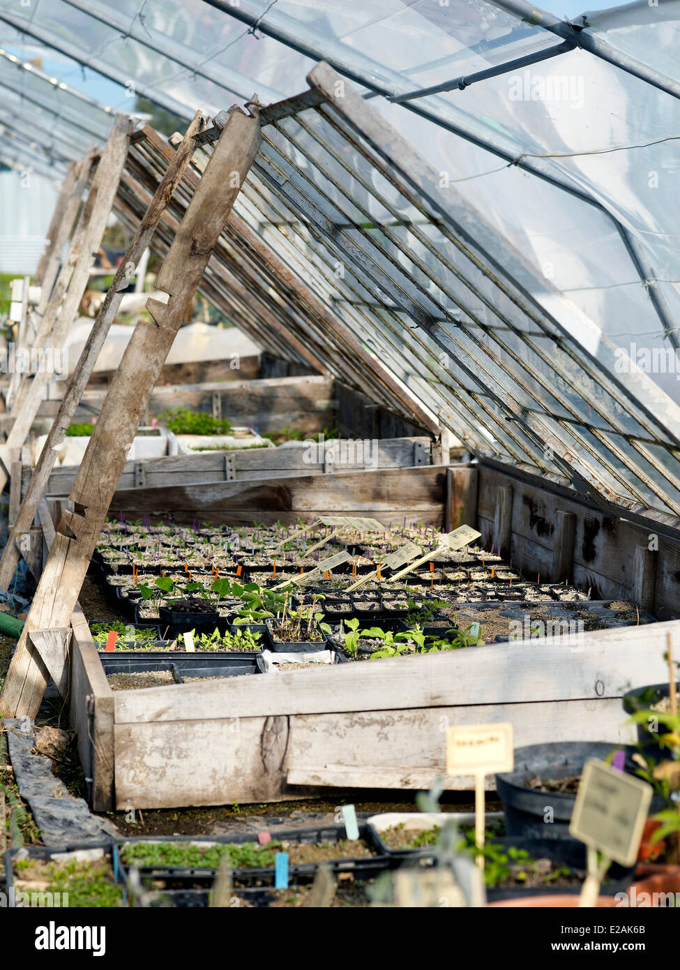 France, Indre et Loire, feature : The Big Tours, Garden Field Mess ...