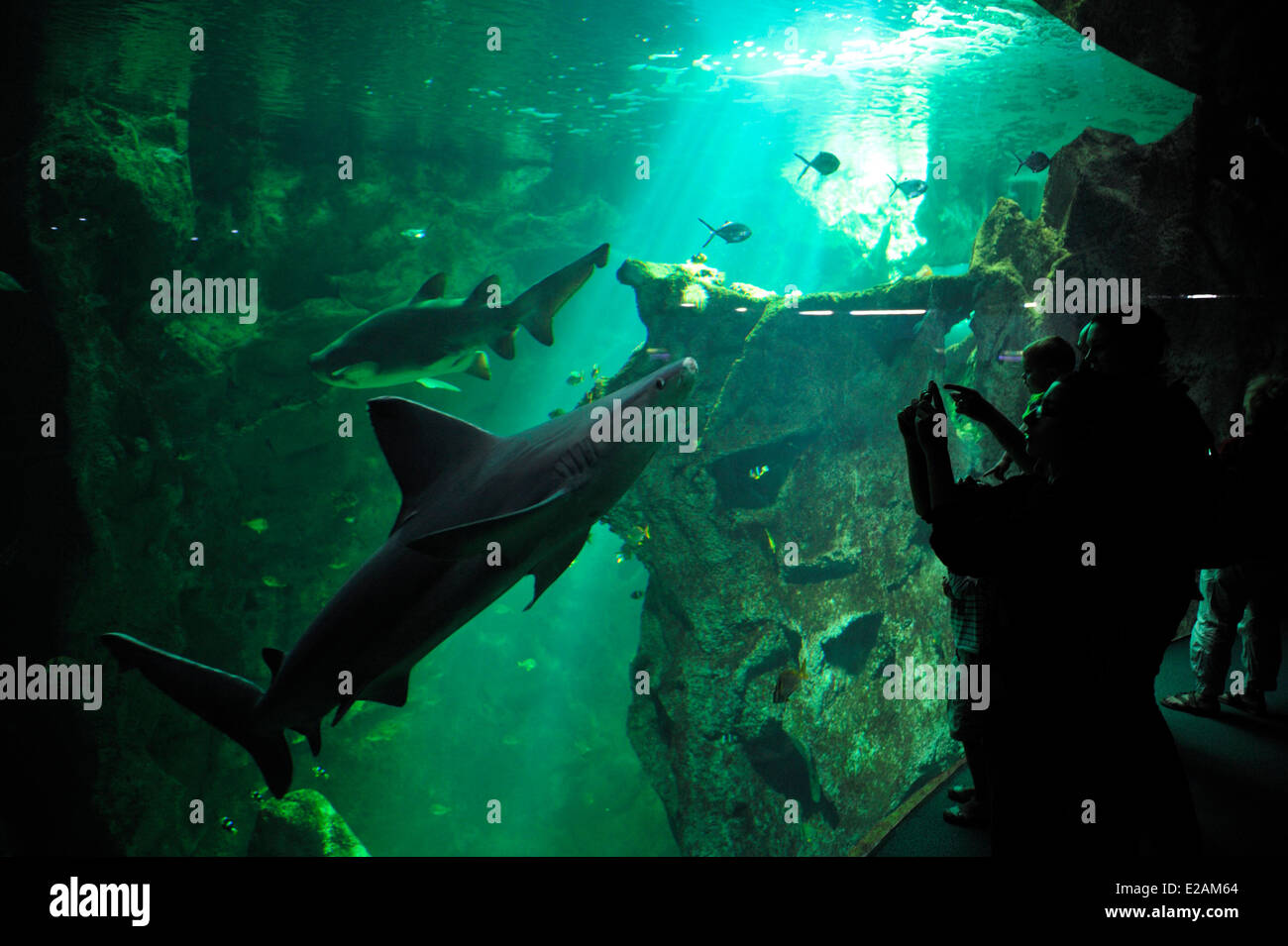 France, Charente Maritime, La Rochelle, Aquarium La Rochelle ...